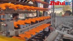 Automated PVC Glove Unloading Machine Solution