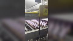 Zhihui A.I. Half Coated Latex Foam Glove Dipping Machine Production