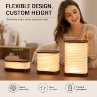 China Solid Hardwood Base Rectangular Folding Paper Light Vertical Expandable Lamp with Premium Paper Shade USB Rechargeable for sale