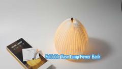 Mini Mushroom LED Paper Lamp Rechargeable Bedside Light