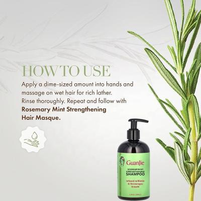 Cina 2-IN-1 Ricostituente idratante Rosmarino menta Shampoo e Conditioner Set Nutritivo in vendita
