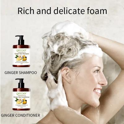 China Gember Scalp Care Shampoo Extract Voedend Diepvochtinbrengende Crème en Formule 2-IN-1 Te koop