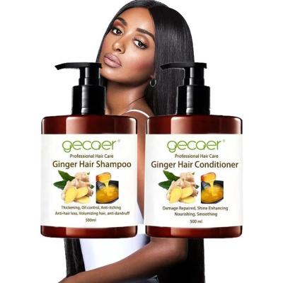 China Conjunto orgânico de cuidados com o cabelo para todos os tipos de cabelo Shampoo e condicionador com fórmula anti-frizz à venda
