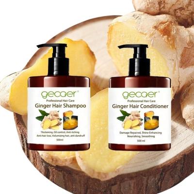 China Shampoo de crescimento rápido do cabelo para perda de cabelo Fórmula orgânica de gengibre anti perda de cabelo à venda