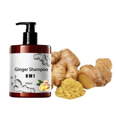 China Shampoo de gengibre anti-caída de cabelo 500 ml de marca privada para controle de óleo e cabelo saudável à venda