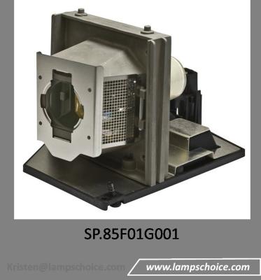 China High quality Original Projector Lamp bulb with housing for OPTOMA EP1690 Projector for sale