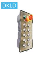 China Ten-way single speed switch industrial remote control for sale