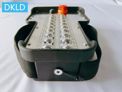 China 18 Way Explosion-Proof Industrial Remote Control Te koop