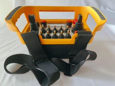Cina Robot Car Remote Control in vendita