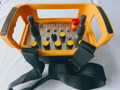 Cina Industrial Wireless Remote Control With Strap Type Basket Type Double Joystick Type in vendita