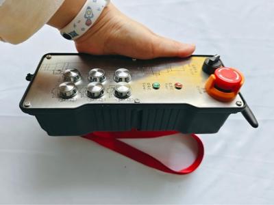 Cina Explosion Proof Remote Control in vendita
