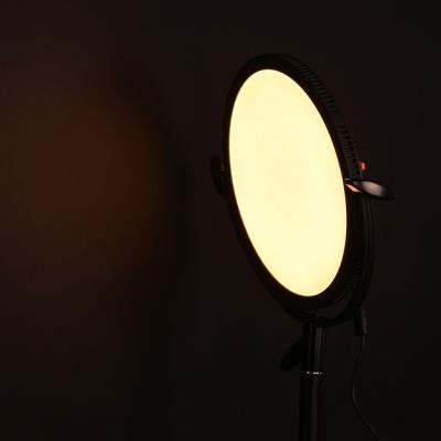 Cina Luce intermittente leggera portatile Dimmable libero del FlapJack ultra sottile rotondo LED video in vendita