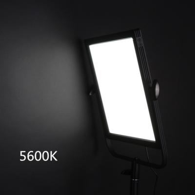 Cina Studio continuo di natura morta che accende il pannello dello studio di luce del giorno LED in vendita