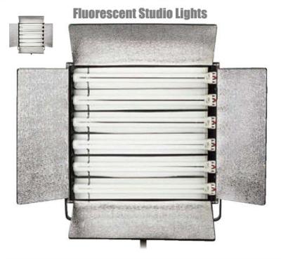 Cina Il CE ha approvato le luci fluorescenti dello studio, luci fluorescenti di fotografia in vendita
