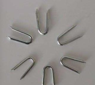 China U style fencing nails , Steel material, Zinc, 25-50mm length, shooting efficiency, enough weight for sale