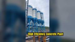 Direct Factory Price: Commercial Concrete Batching Plant in Action