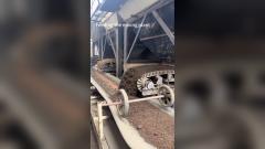 HZS50 Concrete Batching Plant High Efficiency Solution