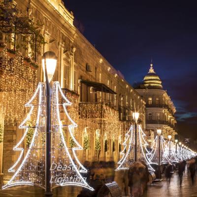 China led christmas tree outdoor pole decoration lights for sale