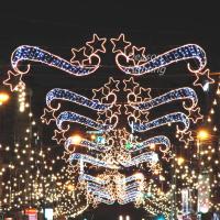 China led decoration street light for sale