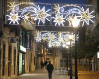 China LED Christmas Street Decoration Lights 100W 4m x 1m Customizable IP65 Outdoor for sale