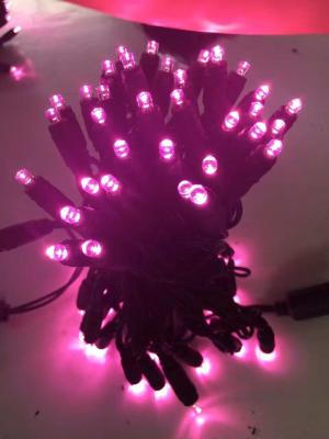 China 5mm christmas lights for sale