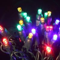 China 50 Bulb LED Multi Color Christmas String Lights 17ft 120V Outdoor Waterproof for sale