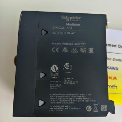 China BMXDAI1604 Schneider discrete input module, Modicon X80, 16 inputs, 100 to 120V AC for sale