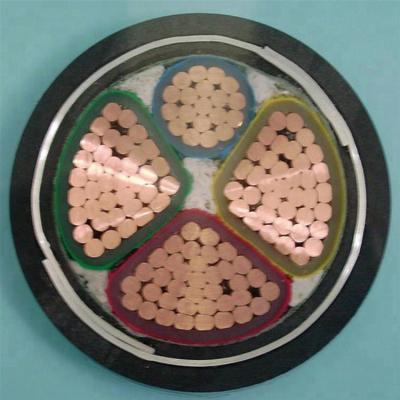 Cina Copper conductor standing wire hdpe outer sheath armoured power cable in vendita