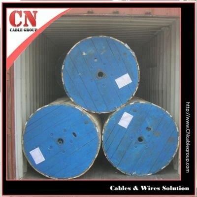 Cina AAC Conductor China Manufacturer in vendita