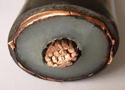 Cina Cavo corazzato d'acciaio corazzato di Xlpe del filo del nastro o di acciaio del cavo elettrico di IEC 60502-2 sistemi MV in vendita