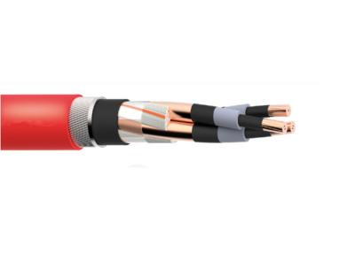 Cina Guaina di rame sotterranea dell'isolamento LSZH del cavo elettrico del conduttore XLPE in vendita