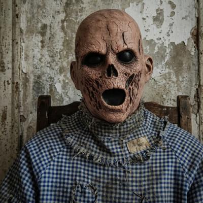 China Realistic Rotten Skeleton Full-Head Mask, Scary Costume Accessory for sale