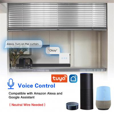 Cina 1800W Tuya Curtain Smart Wi-fi Programmabile Switch Muro Installazione nascosta App Timing remoto Controlli vocali in vendita
