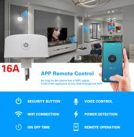 China Brazilian Standard Smart Timer Plug Amazon Alexa Google Plug Socket 2200W for sale