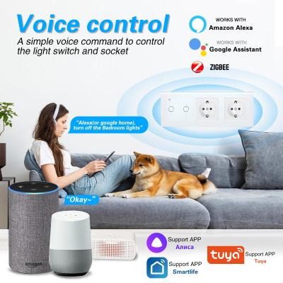 Cina 228 X 86 X 35 mm Combo di interruttore di luce e presa CE Viole Control Switch e combinazione di presa in vendita