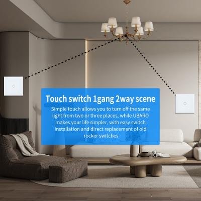 Cina UBARO Grigio Dual Touch Switch Manuale Touch 2 Gang 2 Way Smart Light Switch Controllo live del filo 2000W/gang in vendita