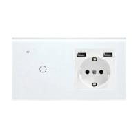 China Smart Switch and Socket with Voice Control USB Type-C Output for Round Mounting Box for sale