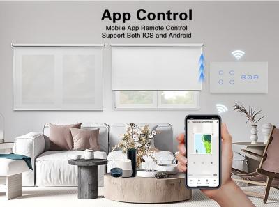 China EU Standard Wi-Fi Smart Home Switch and Curtain Controller with Timer Function  Compliance for Seamless Automation for sale