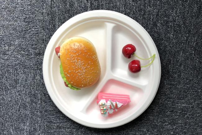 Biodegradable compostable sugarcane plant fiber dinnerware