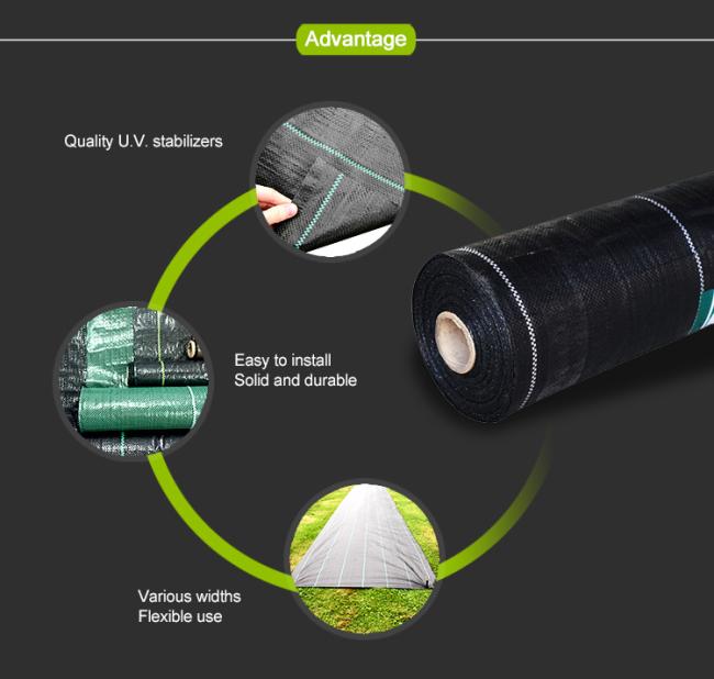 agriculture PP weed mat