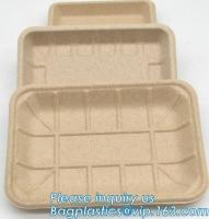 China corn starch biodegradable meat tray corn starch dinnerware sets  biodegradable cake tray Rectangular Tray Paper Food Tra for sale