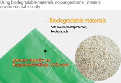 China Made From Plants Customized wholesale biodegradable compostable pharmacy bag with singlet handle for sale