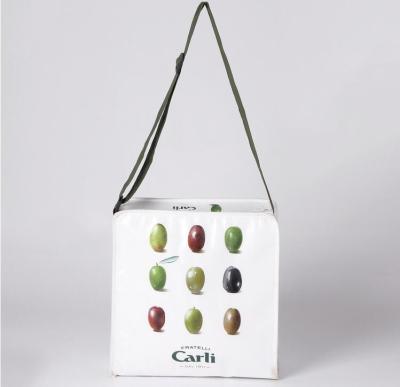 China Lunch bag, bottle bag, food package, Big size Non woven bag 100 gsm, Non woven bags manufacturer philippines/india/kolka for sale