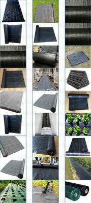 China WEED BARRIER,GARDEN BAGS,FABRIC ROLL,WEED MAT,SHADE NET,GROW BAG,POP-UP BAG,PLANTER,COVER,GREENHOUSE, BAGEASE, PACKAGE for sale