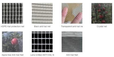 China Anti insect net, anti bug net, anti aphid net, mesh anti insect net,shade sail,shade net, anti hail net,protection net for sale