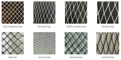 China bird protection net, net trap,bird net,anti-bird net,mist net,pe tarpaulin,tarpaulin roll,shade net,mesh net,monoflament for sale