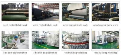 China bird protection net, net trap,bird net,anti-bird net,mist net,pe tarpaulin,tarpaulin roll,shade net,mesh net,monoflament for sale