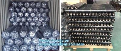 China mesh bag,insect net,anti hail net,weed mat,Polyester fiberglass anti insect net for insect screen window,anti insect mes for sale