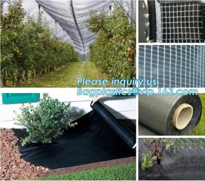China mesh bag,insect net,anti hail net,weed mat,Polyester fiberglass anti insect net for insect screen window,anti insect mes for sale