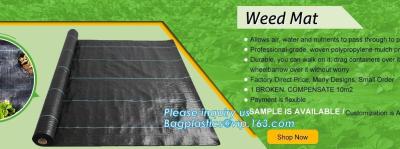 China green color Plastic Ground Cover Mats mulch weed control fabric mat,Weed Barrier Around Fruit Trees PP Woven Weed Mat fo for sale